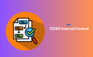 COSO Internal Control | Skilr